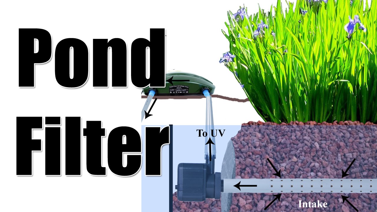 Pond Tips- Veggie Bog Plant Filter - AWWA Water Filtration System